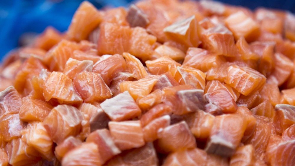 Chilled fish | JCS Fish